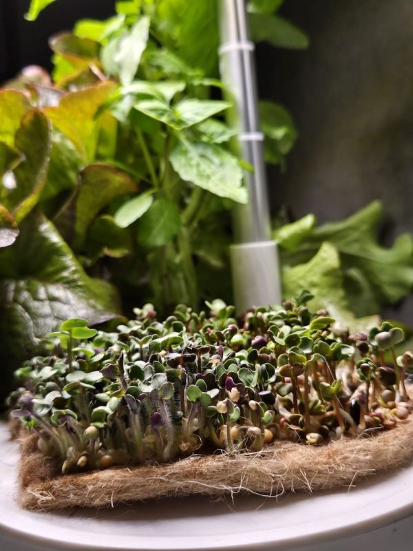 Küchengeräte & nachhaltige Wohnlösungen | Power2Live